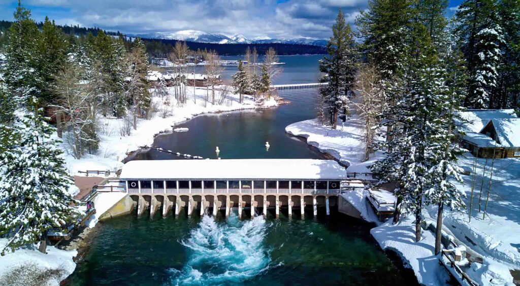 Wisdom for the crowds – how to start a career as a young professional ...